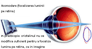 Prezbiopia - Enciclopedie | OculusPrim